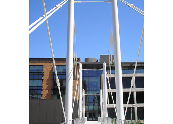 Customized Carbon Steel Tension Rod For Tension And Compression System